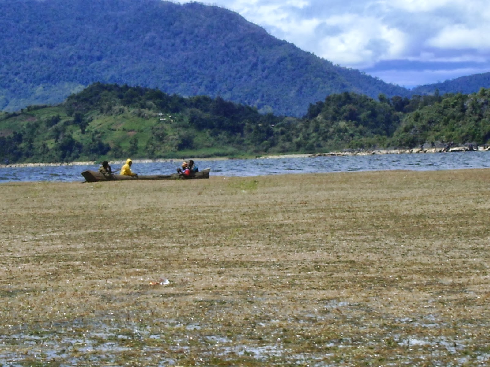 PULAU DUAMO DEIYAI: Biota Danau Tigi Kabupaten Deiyai di Papua