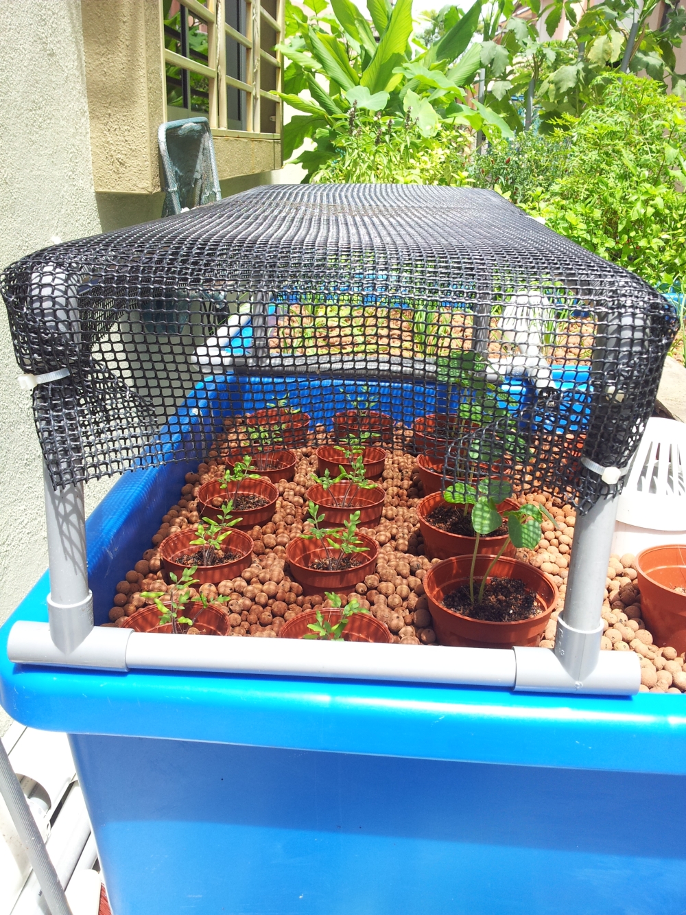 Affnan's Aquaponics: Seedling Rack