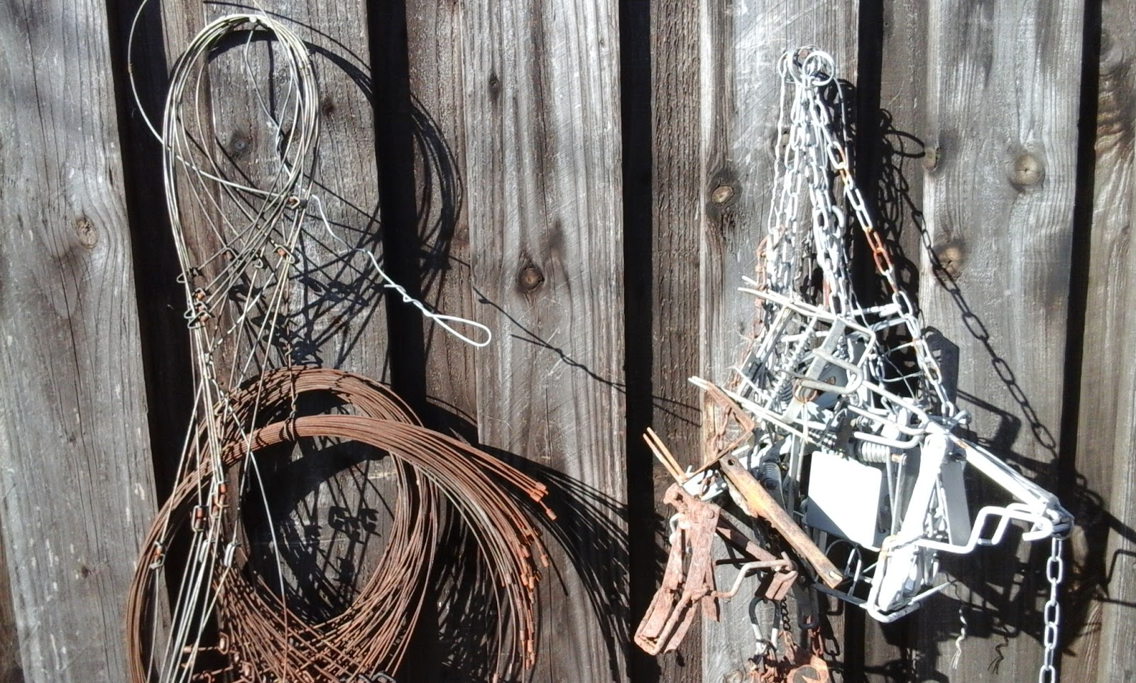 Milkweed & Teasel: Vermin Patrol Part1: Snares and Traps