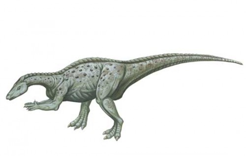 Los animales en la prehistoria: Animales prehistóricos con la letra D