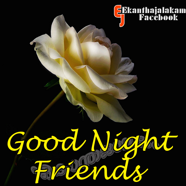 Lovely Quotes For You: Good Night and Have a Nice Sleep Friend