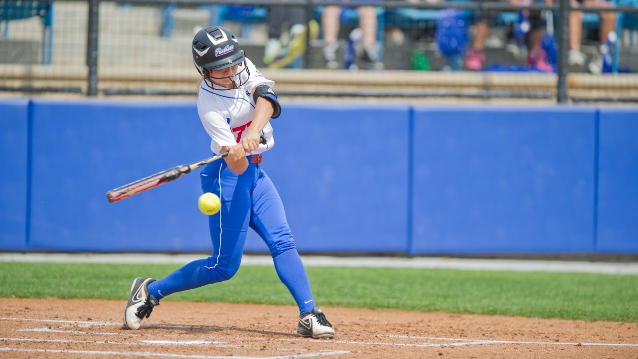 Georgia State Panthers softball