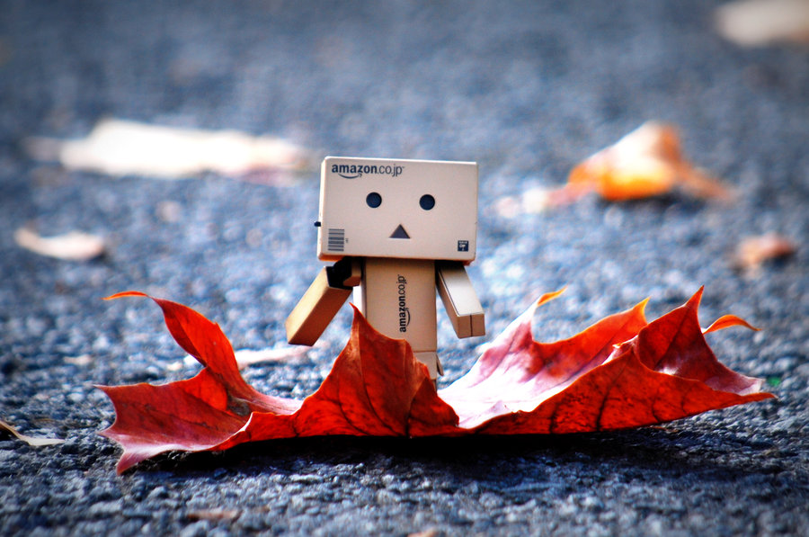 ePicturez: 10 stunning picture of Danbo..do you love him like i do??