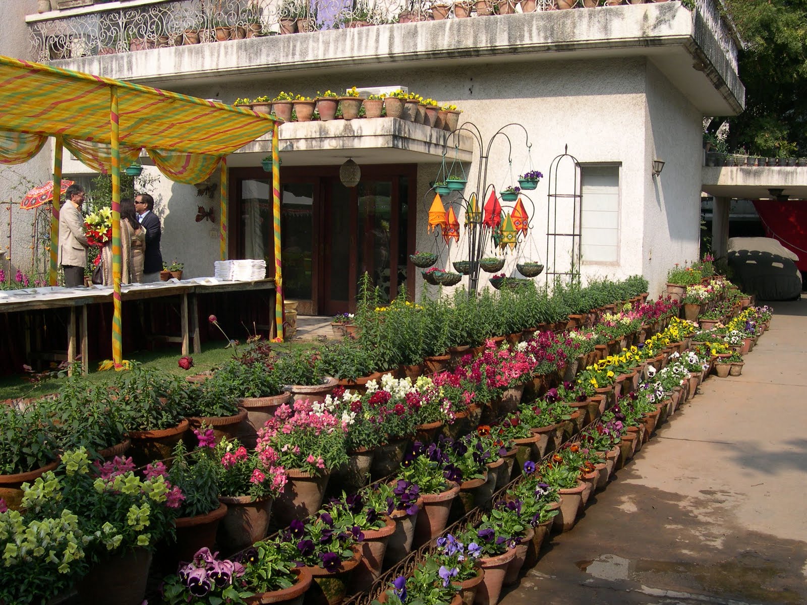 A Delhi Gardener's Blog: Vasant Ritu in Delhi