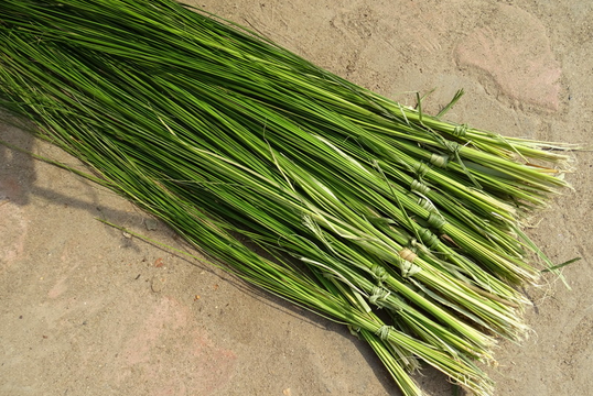 Kusha Grass Mat Buy Order Online | KUSHA Daabh Ka Aasan | Unseen Indian ...