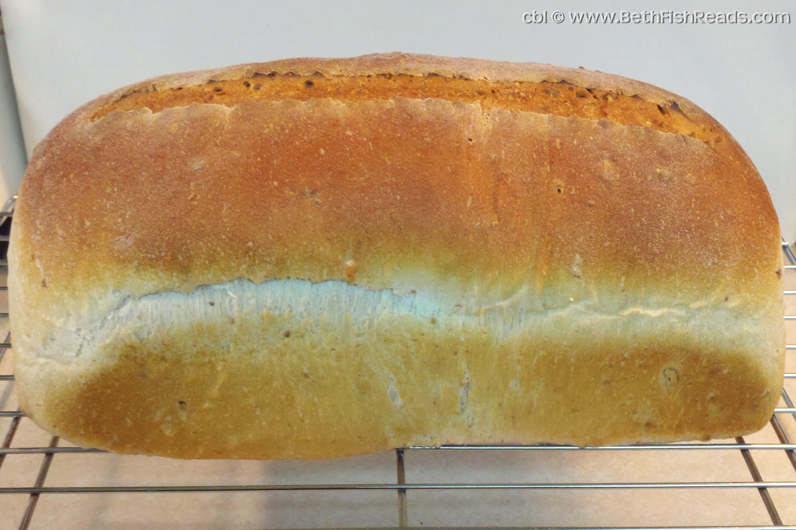 Beth Fish Reads: Weekend Cooking: Review: Bean by Bean by Crescent ...