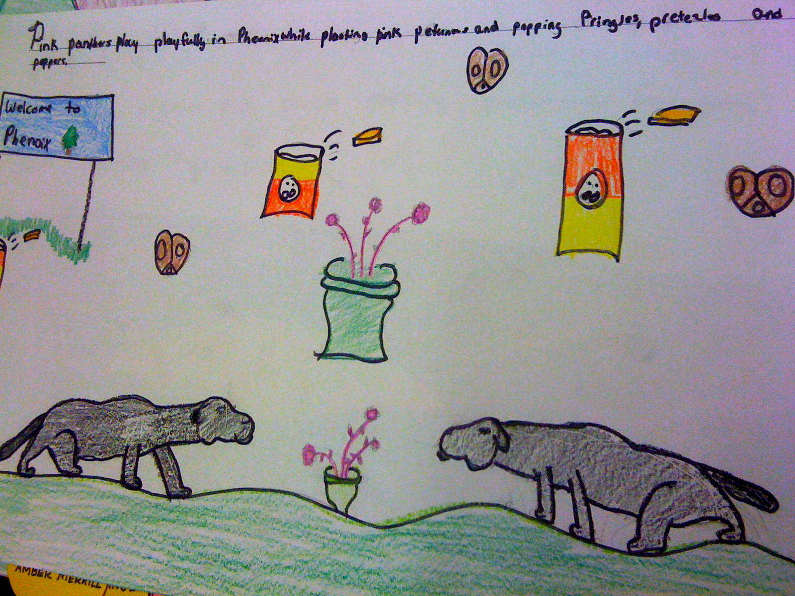 Coral vs. Salmon: Alliteration Illustrations