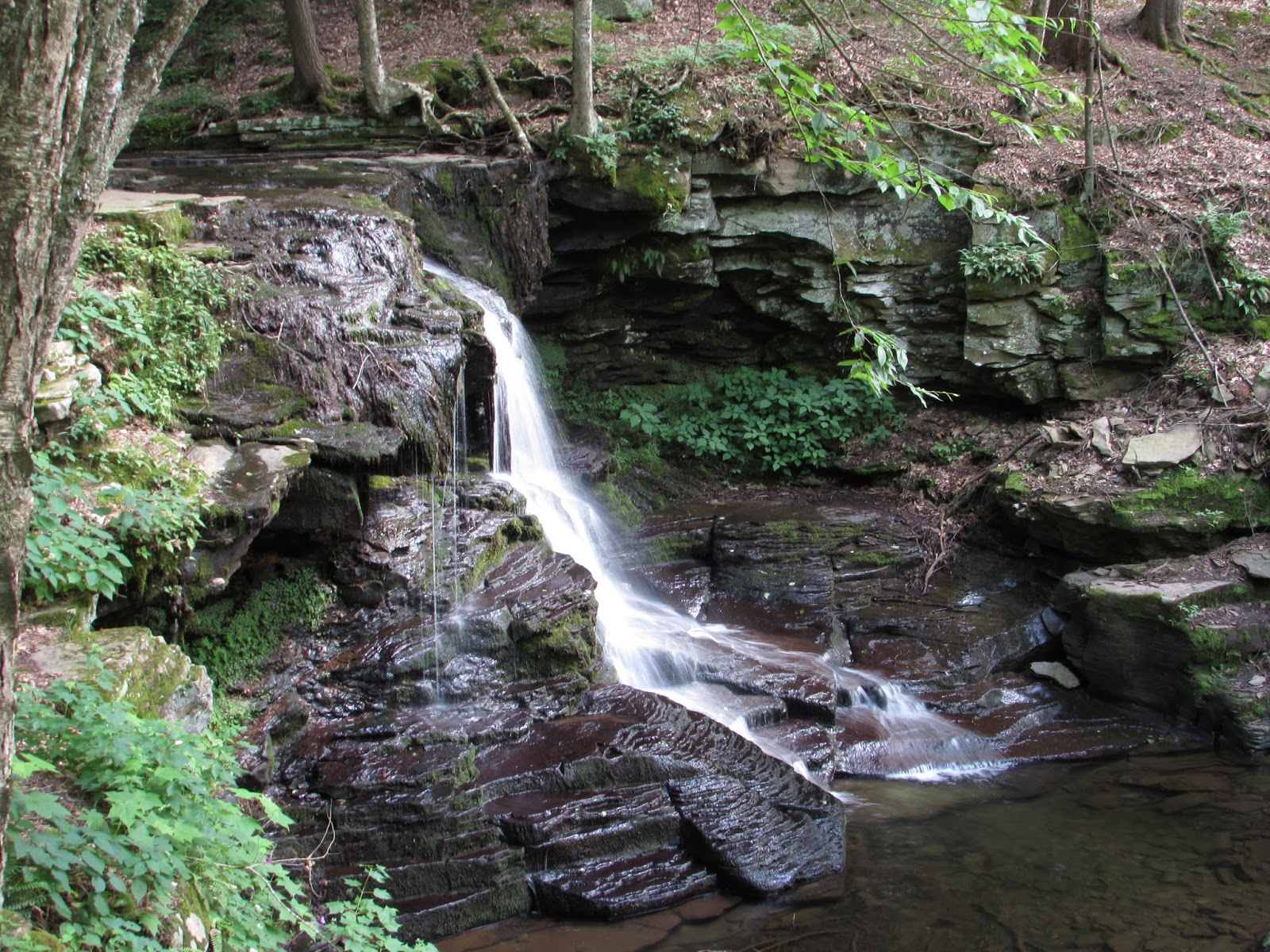 Amazing High Knob Overlook in Summer | Interesting Pennsylvania and Beyond