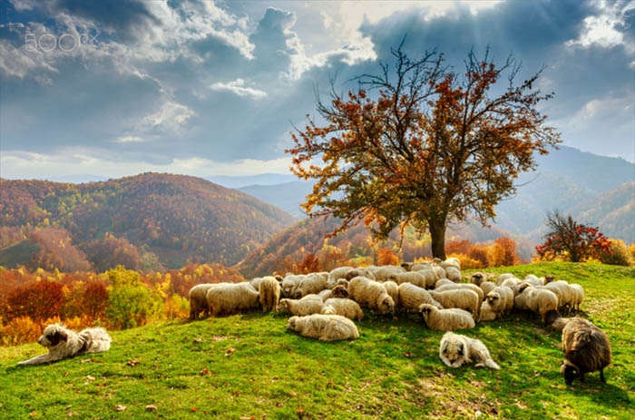 Ghe NICA-Blog: Cabana Padis-Poiana Rotunda-Pestera Caput-Chei Caput ...