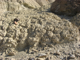 Scientist, Artist, Fulbright Scholar: Ephemeral Sculpture