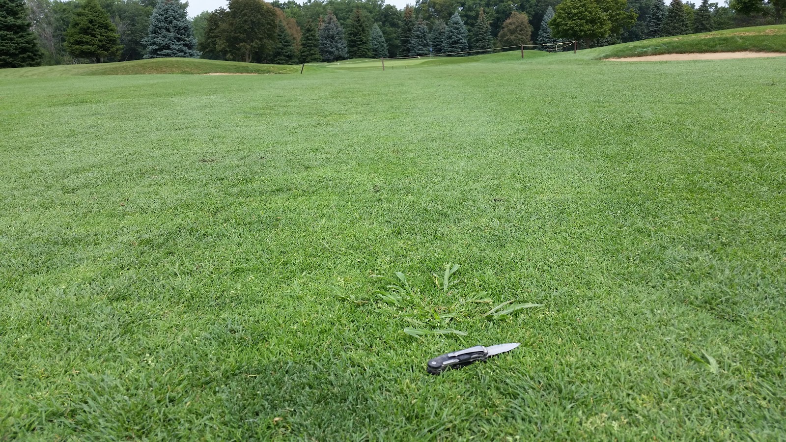 Wilmette Golf Club Grounds and Greens : Seeding Process