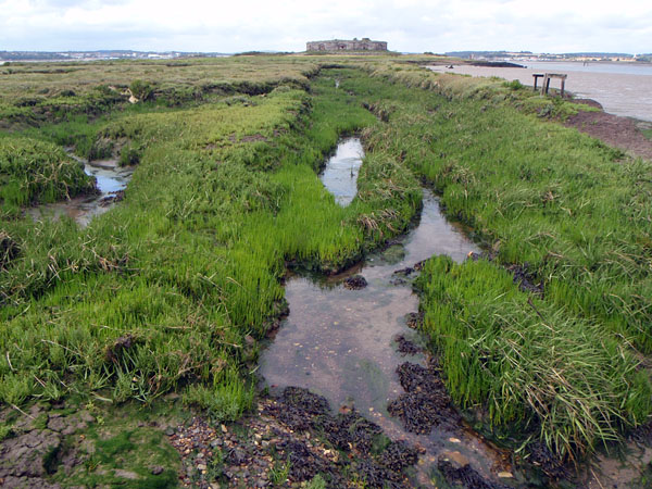 A British Island Adventure: Medway - day 2 - Darnet Island and Hoo Salt ...