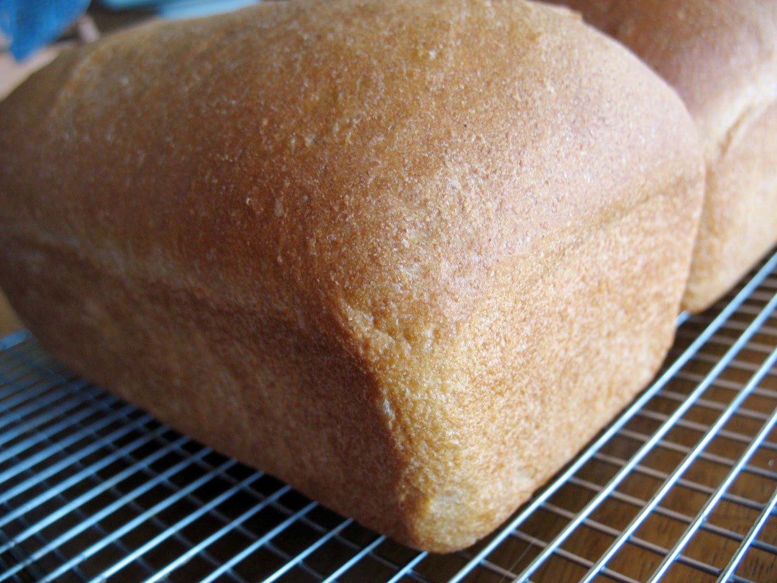 Frieda Loves Bread: Half & Half Honey Wheat Bread: Step-by-Step ...