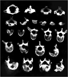 Oriente Antigo - Ancient Near East in all modern languages: Hippocrates ...