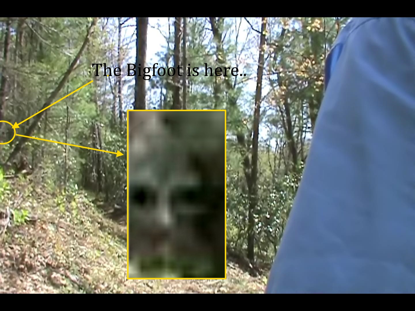 The Bigfoot Field Journal: The Gray Sasquatch (Nephilim) Lives Here