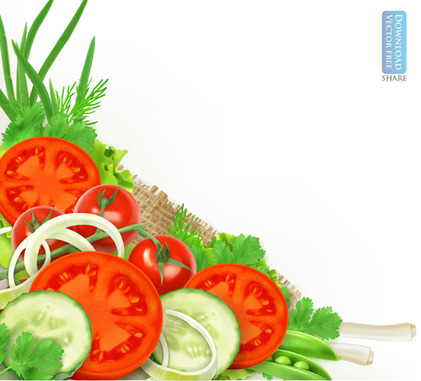 Mẫu rau củ quả nấu ăn vegetables vector 3794 ~ MrPixelVn - Chia sẻ Đồ ...