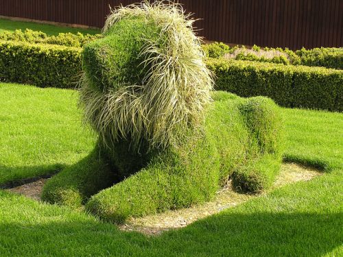 The Big Bang Master: Amazing Topiary Art Wallpapers