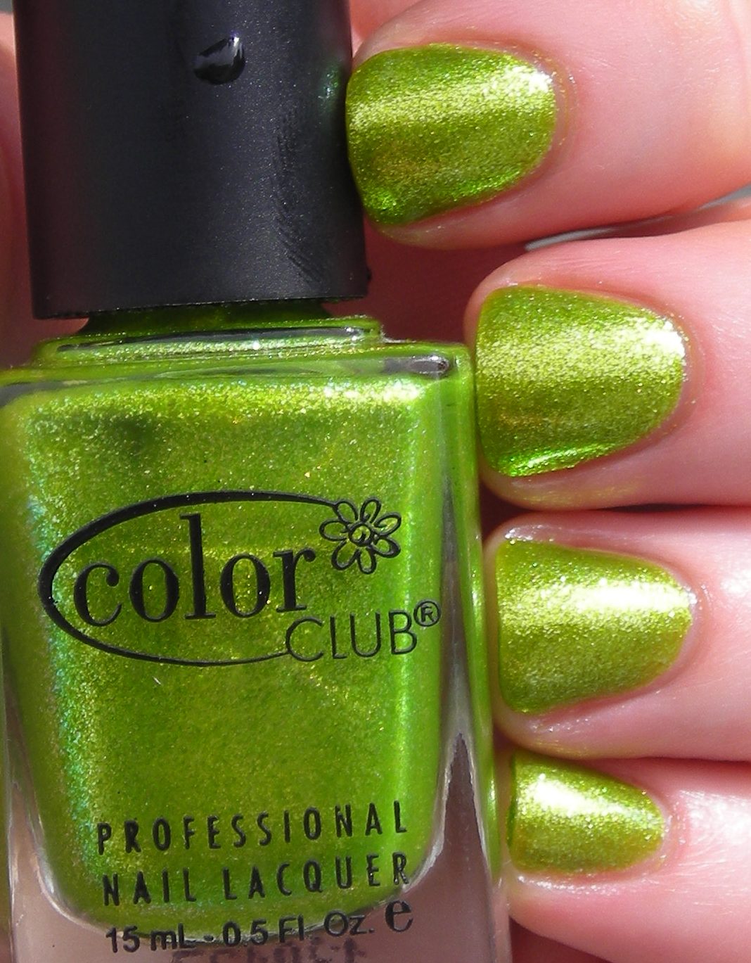 Nails and a Westie: Color Club - Fly With Me