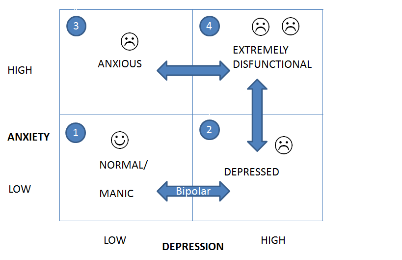 Depression and Anxiety: The 300 Club: FIND YOUR QUADRANT