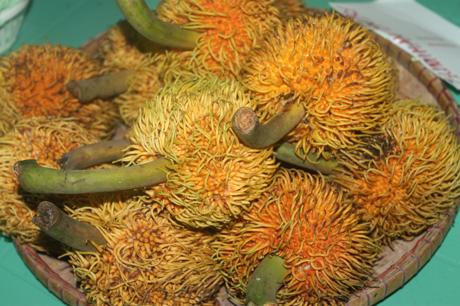 PHILIPPINE INFORMATION AGENCY REGIONAL OFFICE 5 NEWS SERVICE