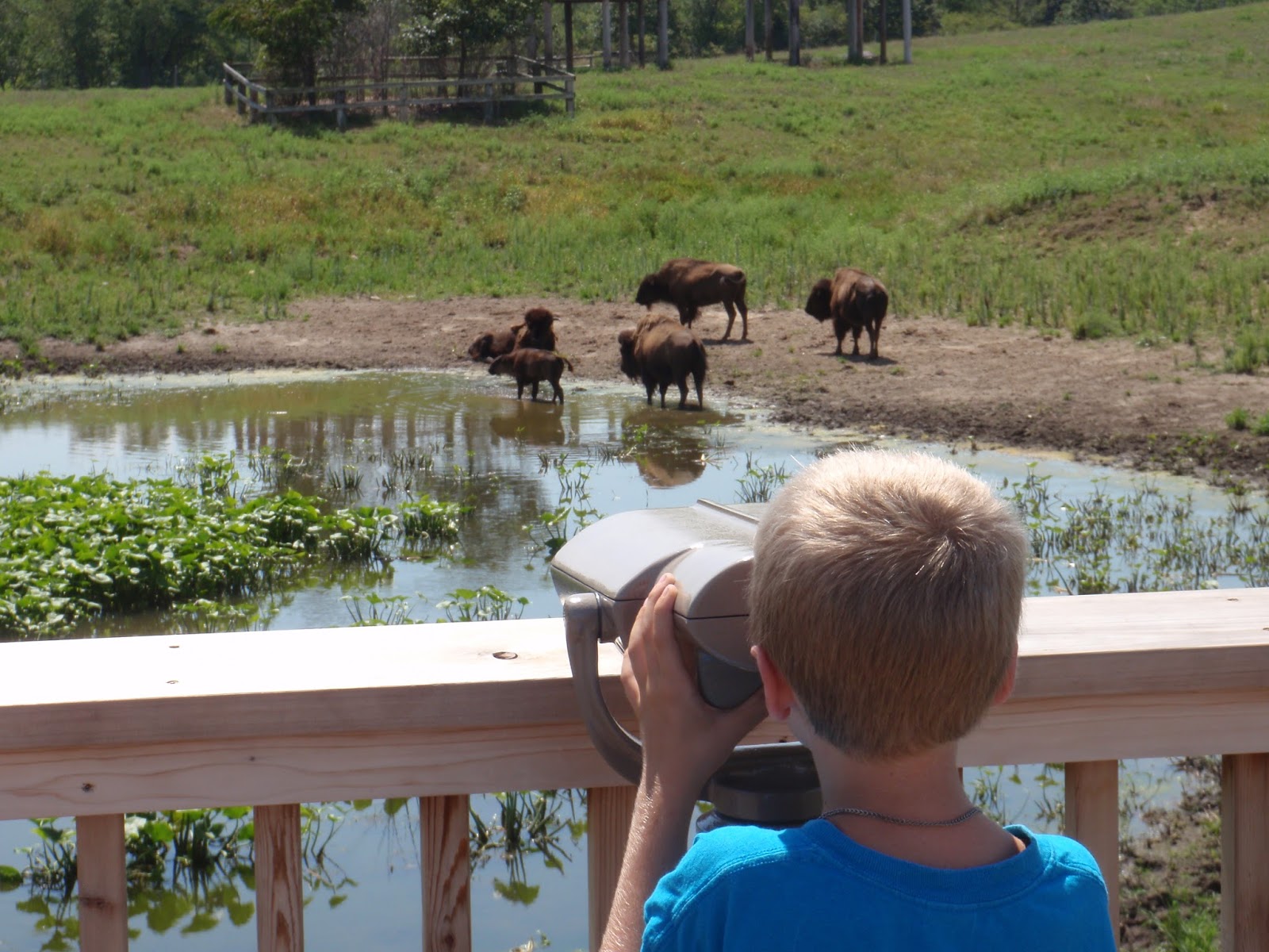 Economic Vitality and Communal Wellbeing at the Jester Park Nature Center