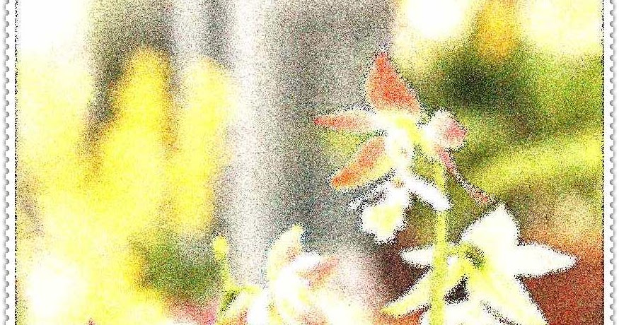 The Scriptures: Mark-04-06