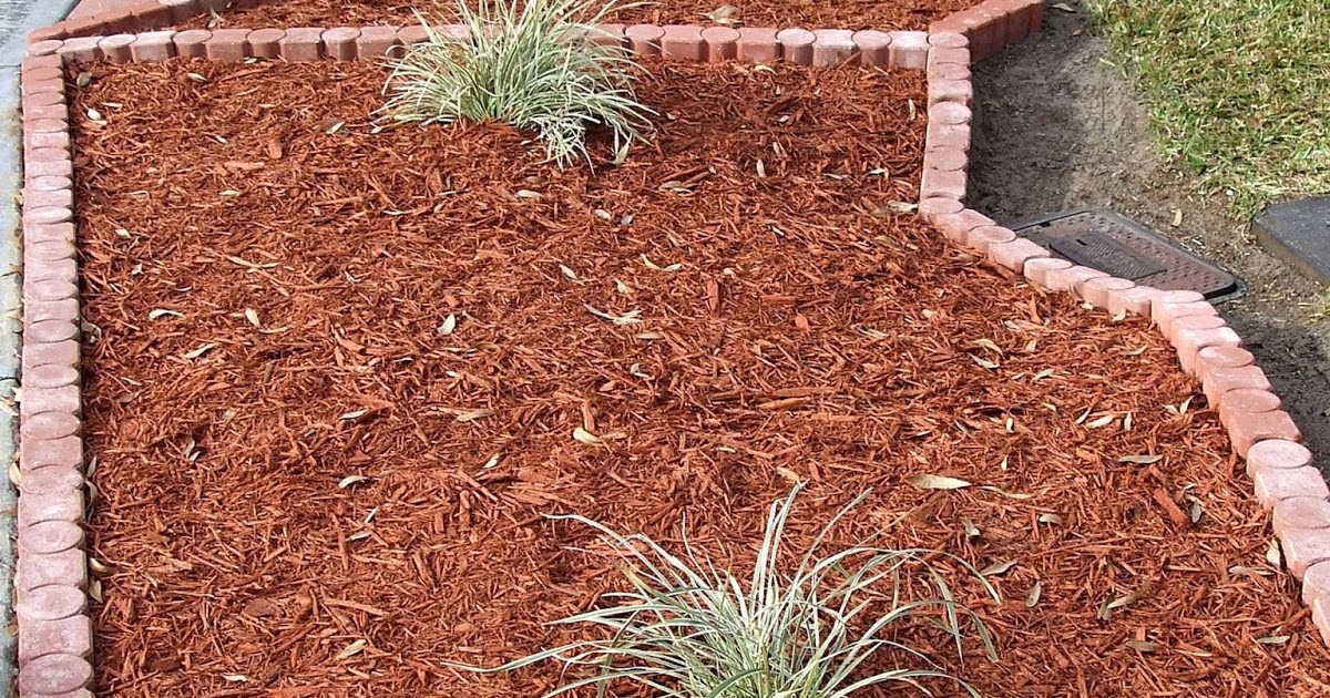 Julie Ann Brady : Blog On: Creating a Golf Cart Path in Side Yard