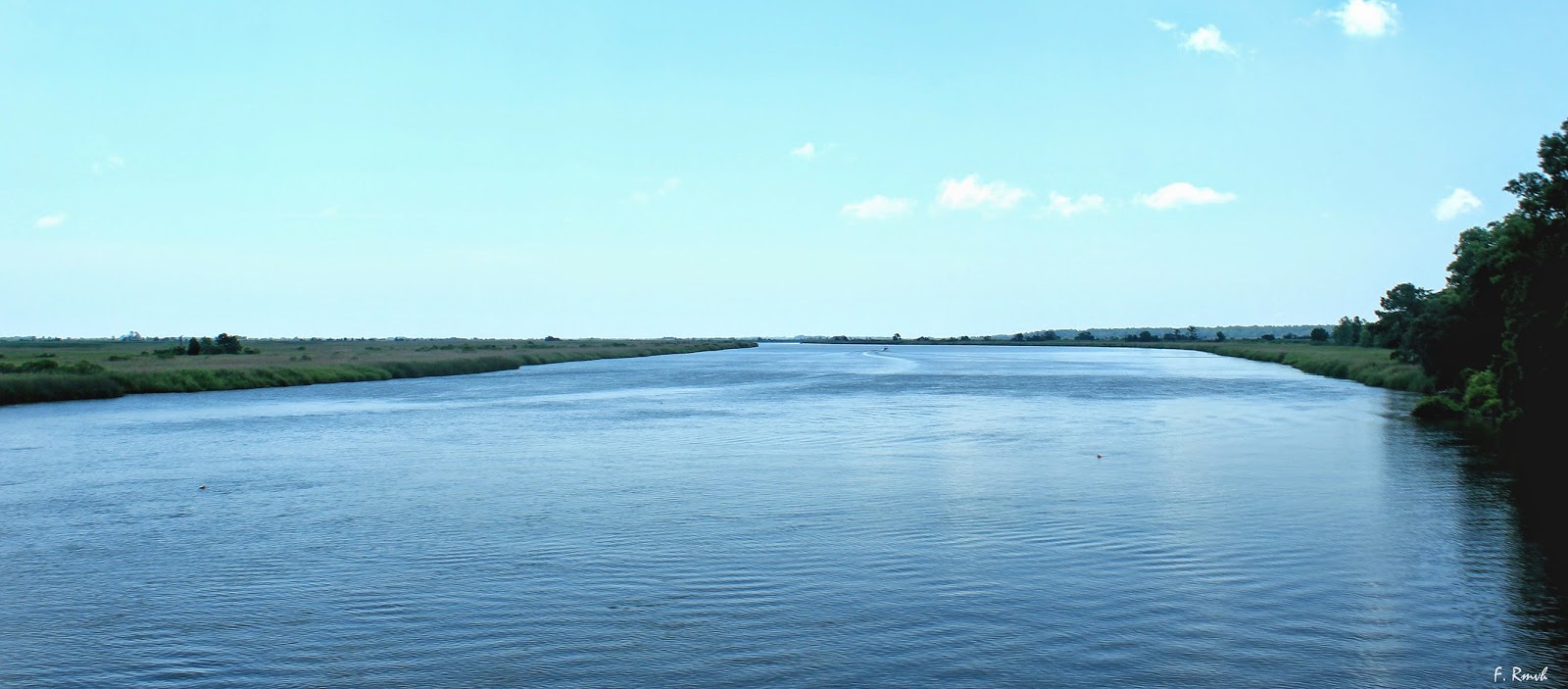 Capture America Journal: Santee River Delta - 6/26/14