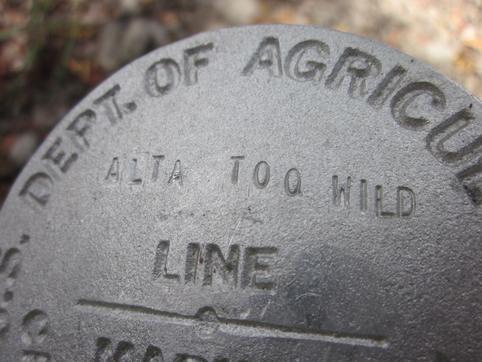 Scootchin' Sand: Alta-Toquima Wilderness
