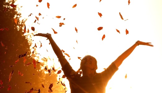 Things that Make Your Life Lively -Avontix