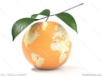 A History of the World: Orange Peel Map Homework (Due Monday all classes)