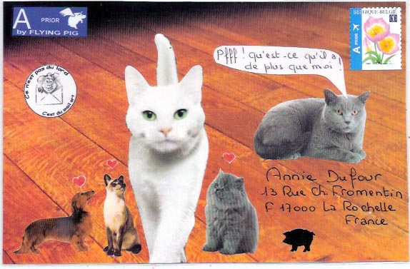 Piggy own mailart: thème : le chat de la pub Feu Vert