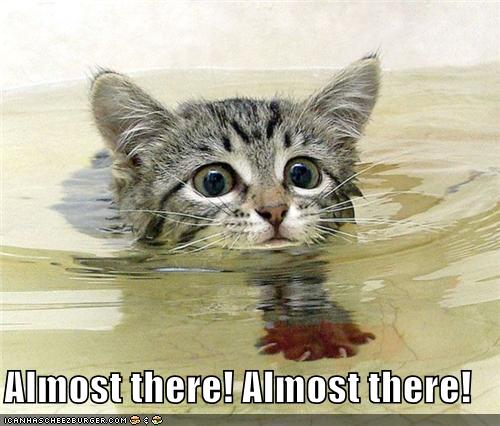 I Want a Station Wagon: Almost There....