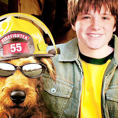 Conociendo mejor a Josh: biografía y algunos datos interesantes | Real ...