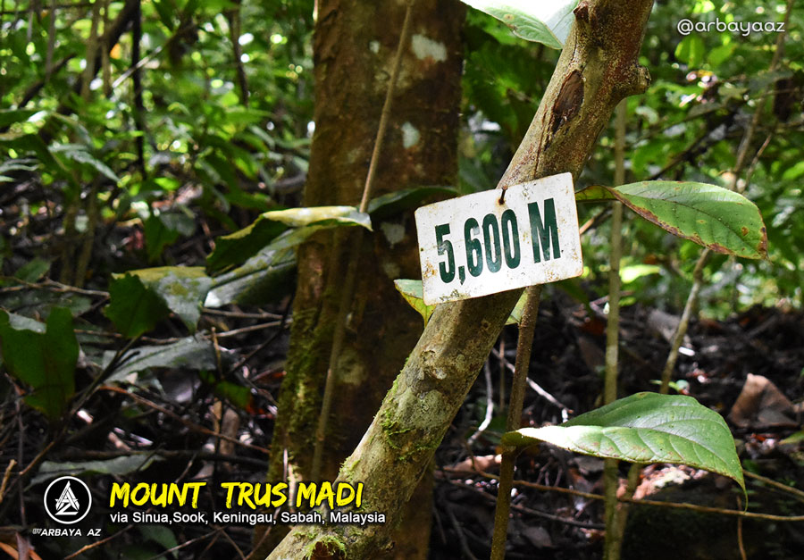 Mount Trusmadi (Via Sinua,Sook - Mannan Trail) - AAZ