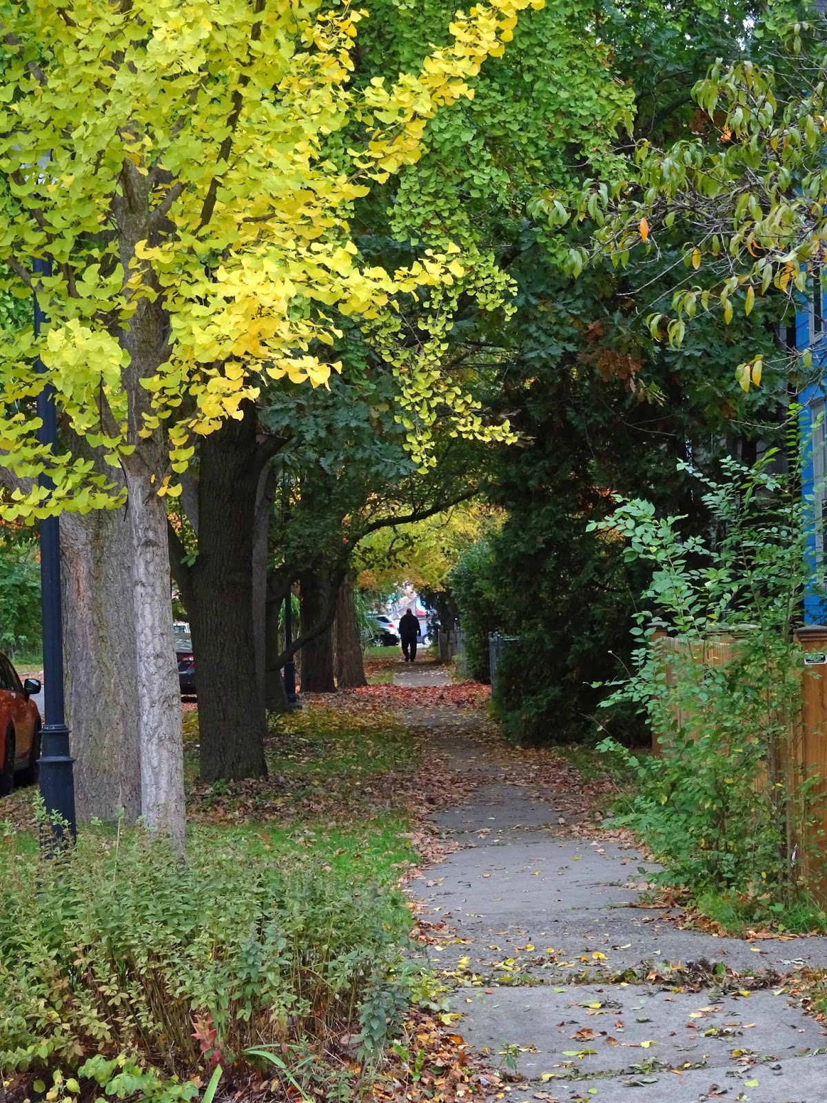 Joe's Retirement Blog: A Visit to Ithaca, New York, USA