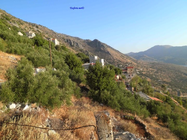 DRYALI - DRYMOS = ΔΡΥΑΛΙ - ΔΡΥΑΛΙ - ΔΡΥΜΟΣ ΛΑΚΩΝΙΑΣ - : ΤΟ ΔΡΥΑΛΙ ΜΑΣ ...