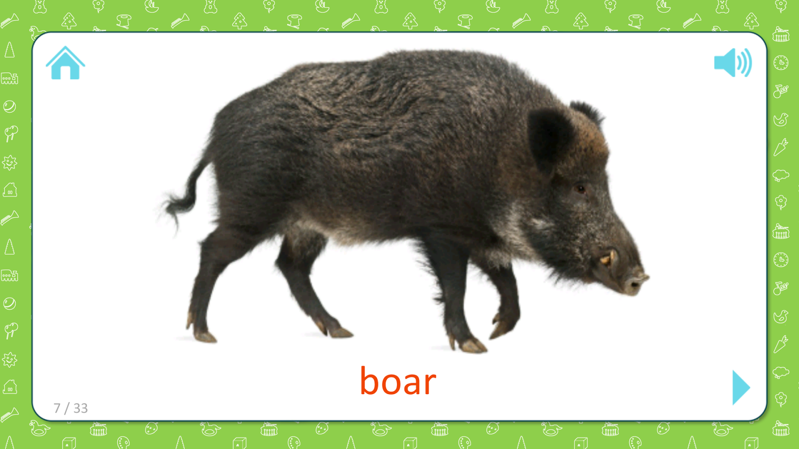 Flashcards for Kids: Boar - Wild Animals - Flashcards for Kids