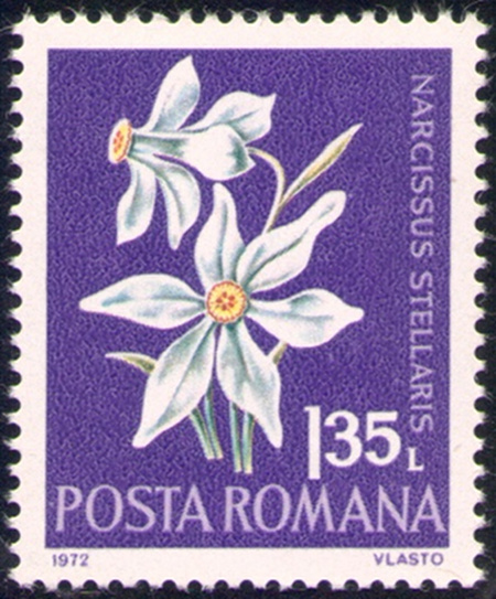 Timbre filatelice: Timbre filatelice romanesti cu flori rare din Romania