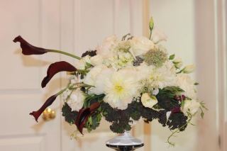 Loda: Floral Compote Design