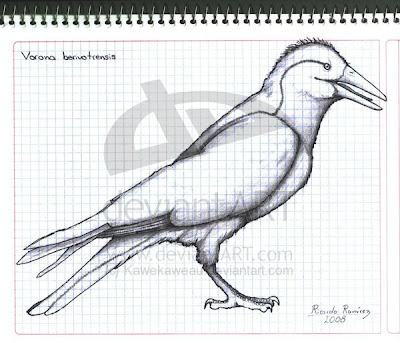 Variety of Life: Ornithothoraces