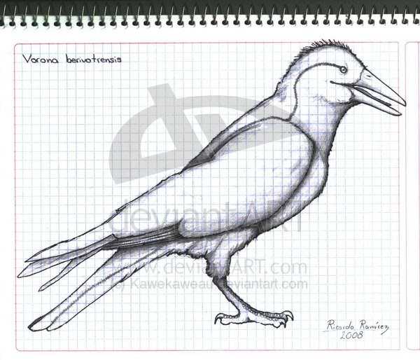 Variety of Life: Ornithothoraces