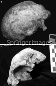 Adam & Eve :Imaginery Friends Of Mentally Challenged People!!