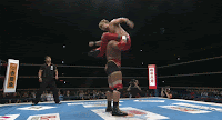 Global Wrestling Gifs: YOSHI-HASHI