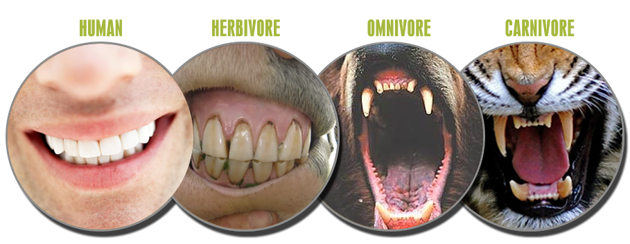 Better Skin on Vegetarian Diet? : r/vegetarian