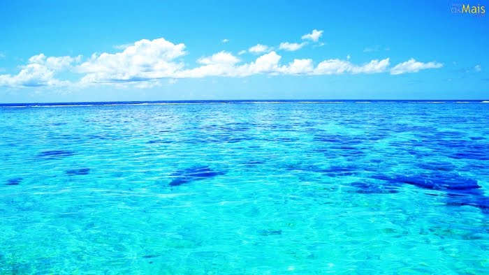 Todo o Azul do Mar - Sol & Sal