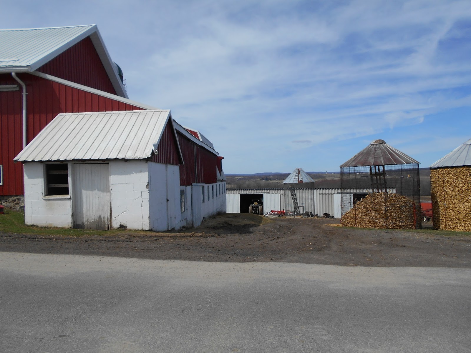 New York State of Mind: OLD ORDER MENNONITE FARM