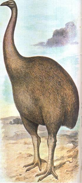 Naturaleza asombrosa, maravillas naturales: 27 jun 2011