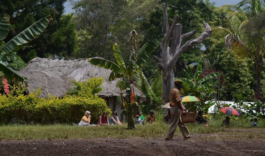 bugs and bananas: 2011 Katagu Games