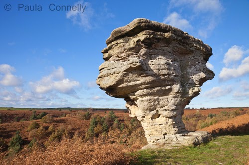 The Bridestones (North York Moors)